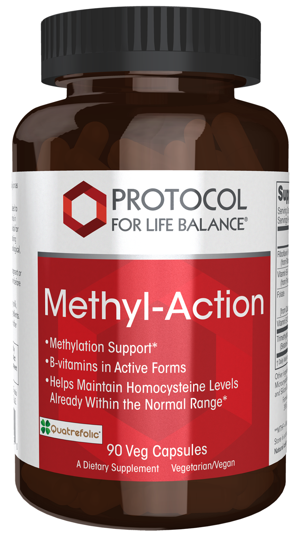 Methyl-Action -Action - Protocol for Life Balance